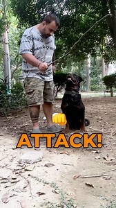 44K views · 876 reactions | Bubzee - The Alpha Rottweiler Of...