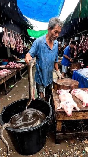 I Tried WILD Jungle Food (My Honest Reaction)