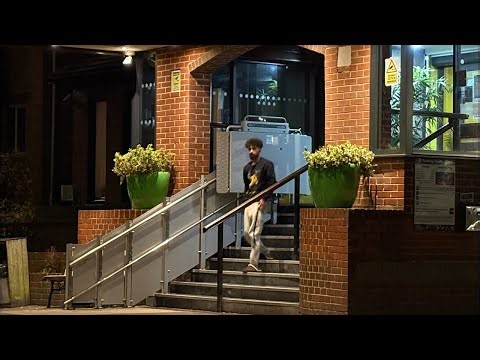 Stripey’s Live: Migrant Watch!