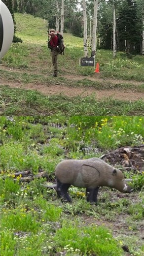 missed low on a boar at 108 yards