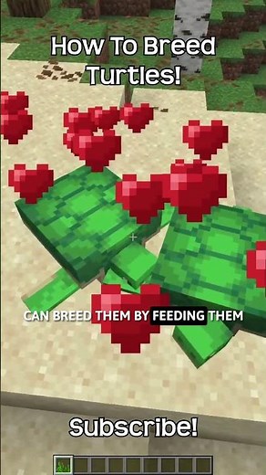 How To Breed Turtles In Minecraft?!