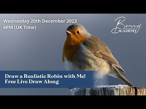 Draw a Realistic Robin in Coloured Pencil with Me | Free Live Draw Along