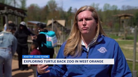 Giraffes and butterflies highlight a visit to Turtle Back Zoo