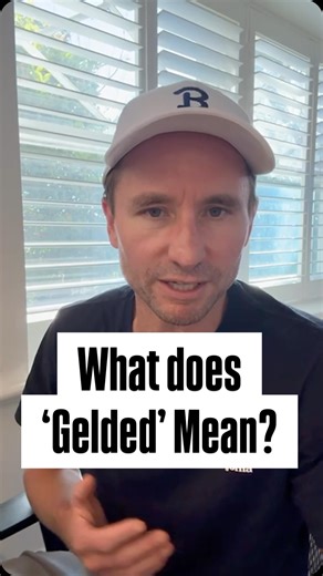 Betsy on Instagram: "Sometimes the best version of a horse appears after gelding. Here’s why it’s important to look out for in the form guide! 📑 #horseracing #formguide #form #horseform"