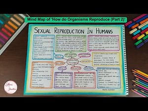 Sexual Reproduction in Humans Mind Map Class 10
