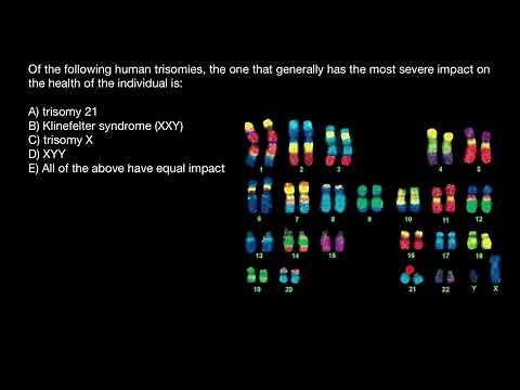 Trisomy 21, Klinefelter syndrome, Triple X syndrome, XYY-trisomy explained