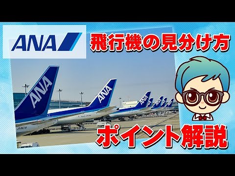 【飛行機の見分け方のポイント解説】全日本空輸（ANA）が保有する11機種で徹底比較！