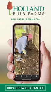 3 comments | Don’t miss out on a beautiful spring!  Plant your...