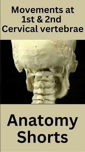 Atlanto occipital joint & Atlanto axial joint #anatomy #mbbs #neet #osteology #bds #bpt #shorts