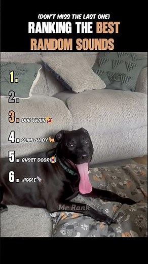 Ranking the Best Random Sounds #best #sound #ranking #usa