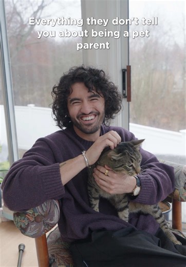 Essential Cat Parenting Tips for Happy Felines