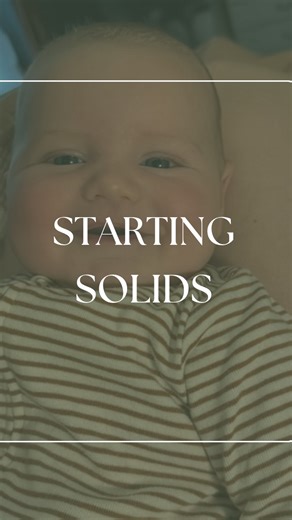 Shannon Bouchard on Instagram: "There’s a magic window for learning to chew between 6–8 months! Baby’s tongue thrust reflex helps push food forward for safety, their phasic bite reflex creates that automatic bite-bite motion that builds chewing skills, and their gag reflex is protective, pushing food forward and helping prevent choking. PLUS, their anatomy matters: babies have a smaller airway and a more direct path from mouth to tummy, so these reflexes work together to keep learning safer. Sav