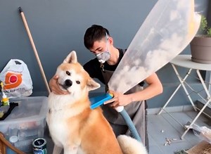 Creating knitting material out of dog's undercoat! | 5-Minute Crafts Green