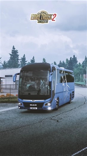 👆 ETS2 Man Lions Coach / Snowymoon Lighting V2 + PNG Graphics mod