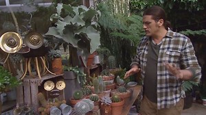 Tipos de cactus, descubre las mejores variedades para tu hogar o jardín