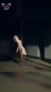 176K views · 1.8K reactions | Nightmare Fuel.  | Slapped Ham | Facebook