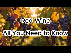 Red Wine Explained: Types, Flavors, Varietals & Beginner Tips in Under 10 Minutes