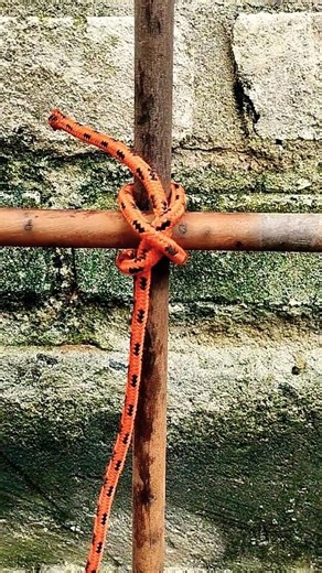 best knot for bamboo poles #knot #diy #rope #shorts