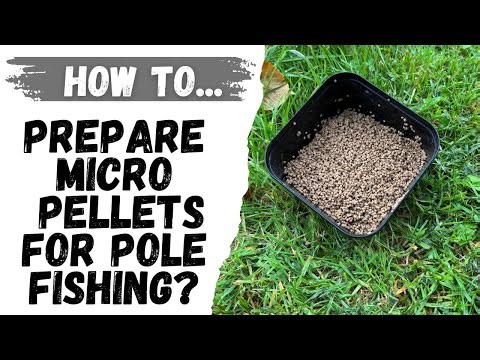 How To Prepare Micro Pellets For Pole Fishing.