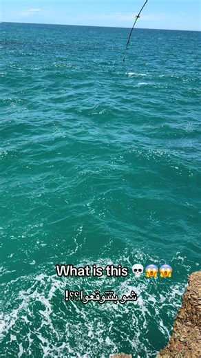 صيد سمكة كبيرة بطرق غير متوقعة