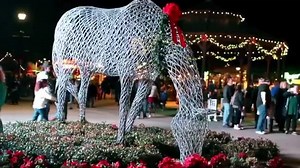 2.8K views · 69 reactions | We simply can’t get enough of #Winterfest at #TryonResort. 朗 Join us for the holiday fun and your LAST chance to see Santa tonight-Monday!It’s also your last chance to have breakfast with Santa this Saturday! 丹 Call 828-863-1000 to book your breakfast reservations, and visit Tryon.com/Winterfest to view the full schedule. ❄️ | Tryon International Equestrian Center & Resort | Facebook