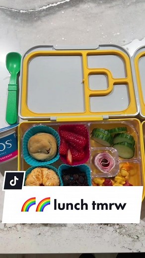Going for a 🌈 lunch tmrw 👍🏻 #schoollunch #relatable #lunchbox #snackideas #kidslunch #healthysnacks #momsoftiktok #momlife #luncheswithlindsay