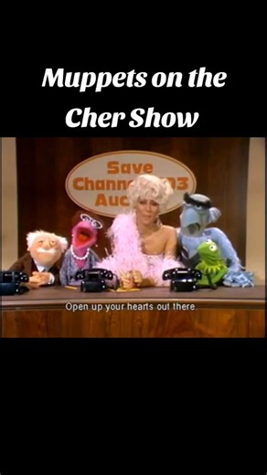 Muppets on The Cher Show #undrwatropium #genx #vintage #nostalgic #timecapsule #i❤️the80s #muppets#muppetshow #classictv #muppets #undrwatropium #Cher