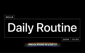 VLOG|网课在读留学党圣诞假期的一天//我的 UIUC大二网课生活Daily Routine