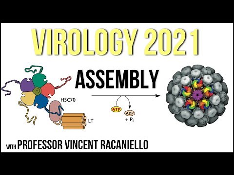 Virology Lectures 2021 #10 - Assembly