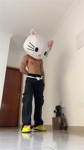 Flores e Hello Kitty: Um Meme Divertido