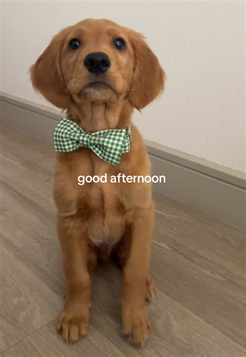 Wilderness Explorer Otti: A Day in Nature