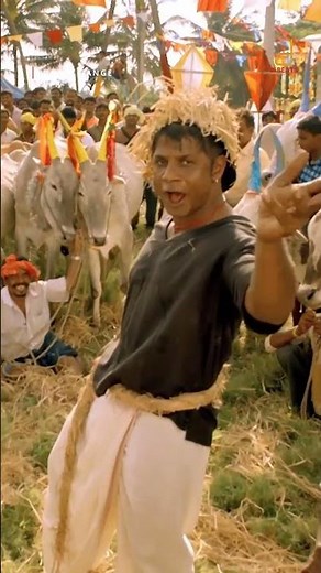 Naavu danakaayoru!!! 🐄 #DuniyaVijay #Danakayonu #VHarikrishna #DBeats