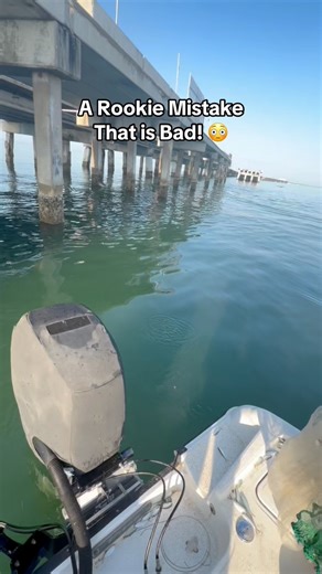 This was a rookie mistake while out cast netting bait fish! #deepseafishing #tampabay #snapper #tampabay | Groupermvp