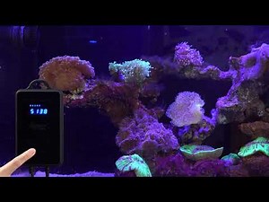 hygger Mini Wave Maker Magnetic DC Powerhead