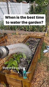 12K views · 10K reactions | There is a lot of debate as to when the...