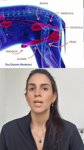 Prostatite em Cachorros: Conheça os Sintomas e Tratamentos
