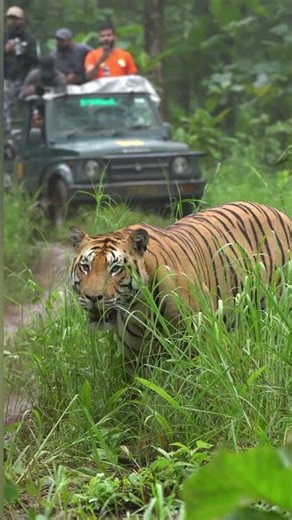 Madhya Pradesh Travel Mart 2025 | Where Heritage, Wildlife & Culture Converge | Bhopal