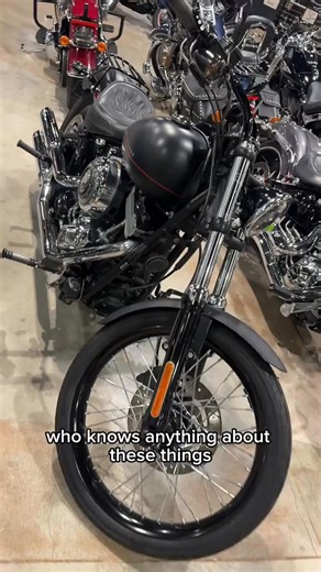 #harleudavidson softail black line, who knows what makes them different than other softail models?? | Nick the Harley guy