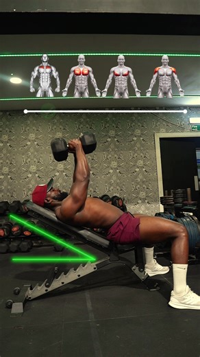 Effective Chest Press Workout Tips for Beginners