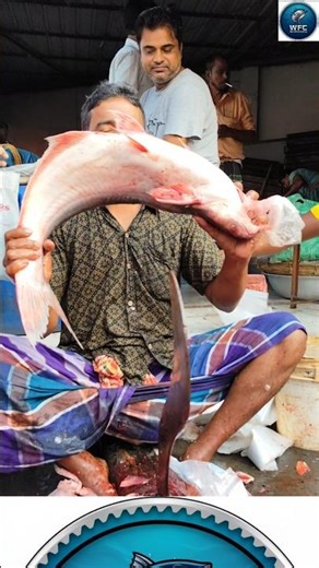 Traditional Fish Market Skills | 10kg Pangas Cutting #asmr #pangasius #satisfying #fishfilleting