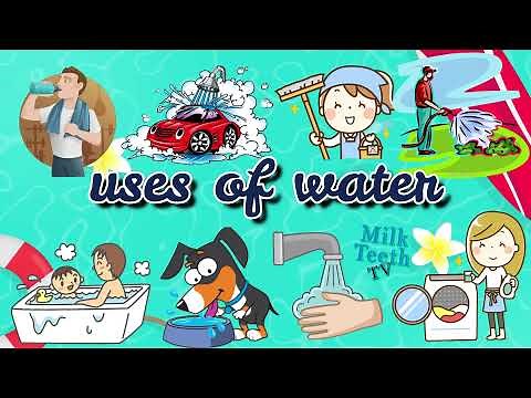 Uses of water | An informative an fun video on importance of water