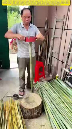 Discover the Magic of Balli Bot Mogis: AI Trends