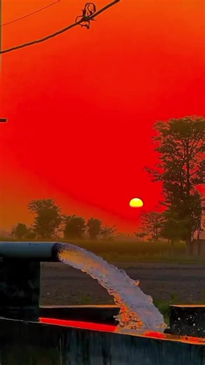 asif raza (@gullsound1)’s videos with original sound - Bilal SiaŁ