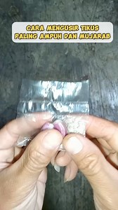 1.4M views · 6.1K reactions | Cara mengusir tikus paling ampuh dan mujarab #idekreatif #lifehacks #diy #tutorial | Winda Nuraini | Facebook