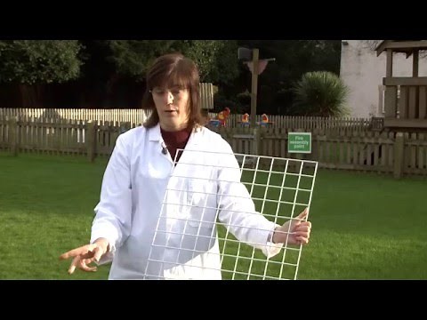 AQA GCSE Biology - Estimating population size