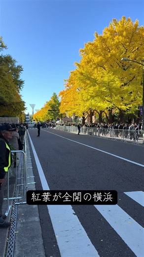 秋の風が心地よい季節、横浜・みなとみらいへお出かけしませんか？🍂✨ 場所タグからホテル予約できます 今回の拠点は、コスパも立地も最強クラスの 「アパホテル＆リゾート 横浜ベイタワー」。 ただ泊まるだけじゃない、このホテルの魅力を秋の観光プランと合わせてご紹介します！👇 🏨 ここがすごい！3つの推しポイント * 圧巻の「みなとみらいビュー」 お部屋やロビーから見える夜景はまさに宝石箱💎 秋は空気が澄んでいるので、夜景がいつも以上にキラキラ輝いて見えます。観覧車やベイブリッジを眺めながらのんびり過ごす時間は格別です。 * 歩き疲れた体に染みる「大浴場」 ここ、都会のど真ん中なのに広々とした大浴場・露天風呂（玄要の湯）があるんです♨️ 秋の夜風を感じながらお湯に浸かって、観光の疲れをリセット。サウナもあるので「ととのう」体験もばっちり。 * 最強のアクセス 赤レンガ倉庫やコスモワールドが徒歩圏内！🚶‍♀️ 🍁 秋の横浜・お散歩コース #冬旅応援キャンペーンビギナー #冬旅応援キャンペーンホテル #PR #TikTokGO #楽天トラベルキャンペーンリリース ［Location］ 