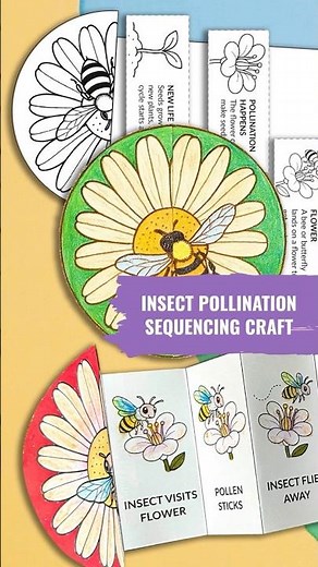 Insect Pollination Life Cycle for Kids | Learn How Pollination Works!cut paste and coloring