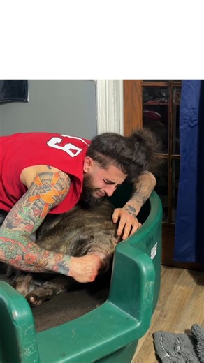 6.9M views · 51K reactions | Sua cadelinha precisava de ajuda e esse dono não iria deixá-la na mão Crédito para: Facebook: https://web.facebook.com/profile.php?id=100083331579327 TT:@upstate_canecorso ( https://www.tiktok.com/@upstate_canecorso/ ) IG:@upstate_canecorso ( https://www.instagram.com/upstate_canecorso/ ) | O Kiwi | Facebook