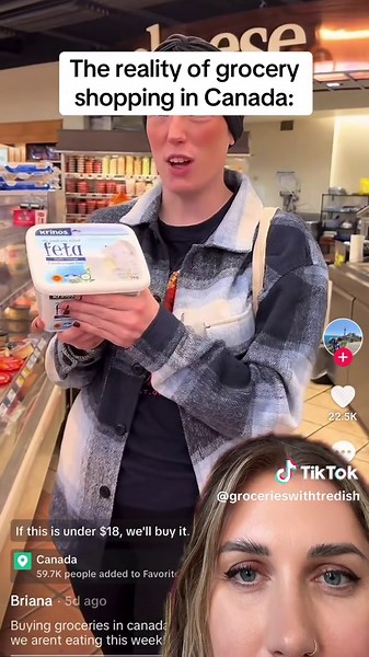 For anyone wondering if canada is ok 😟 #groceryprices #tredish #tiktokcanada #supportlocal #greenscreenvideo