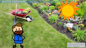 How to Become a Master Gardener: Certification & Qualifications